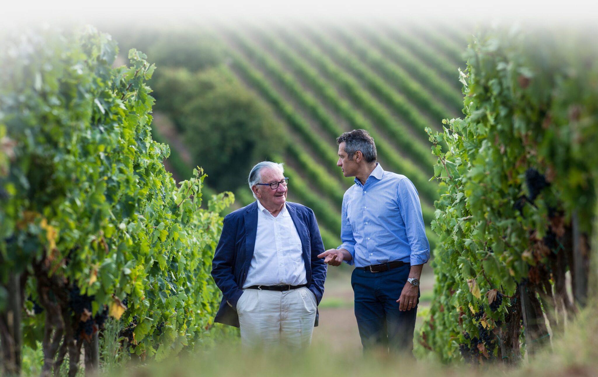 Homepage - Umani Ronchi