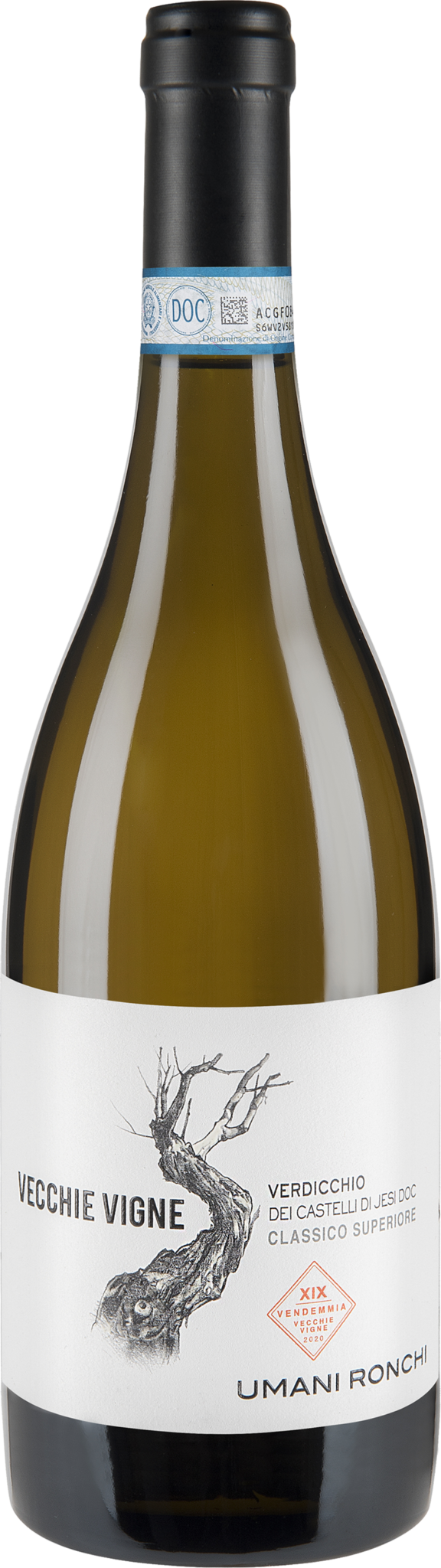 Vecchie Vigne - Verdicchio dei Castelli di Jesi DOC Classico Superiore ...