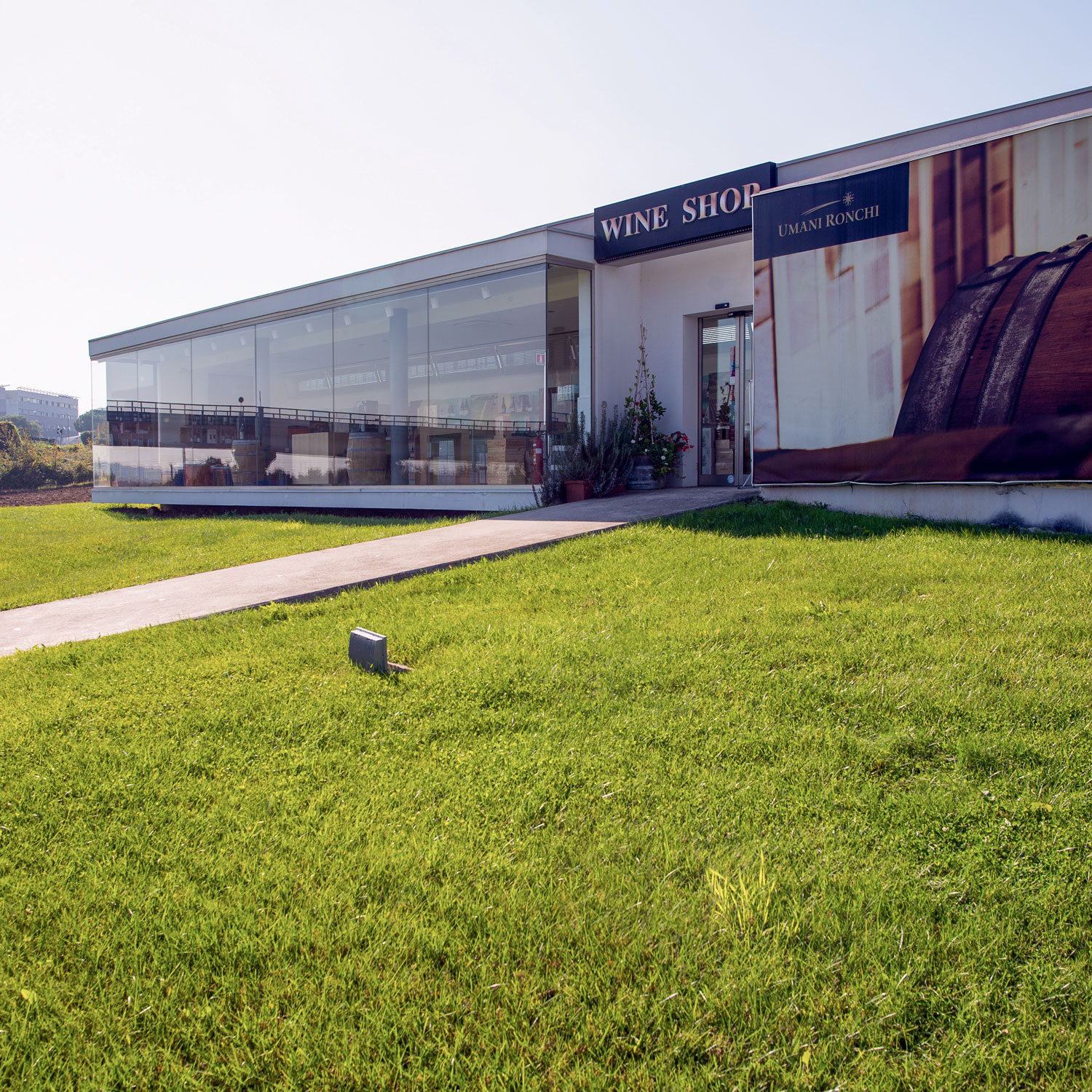 Marco Vignoni - Umani Ronchi