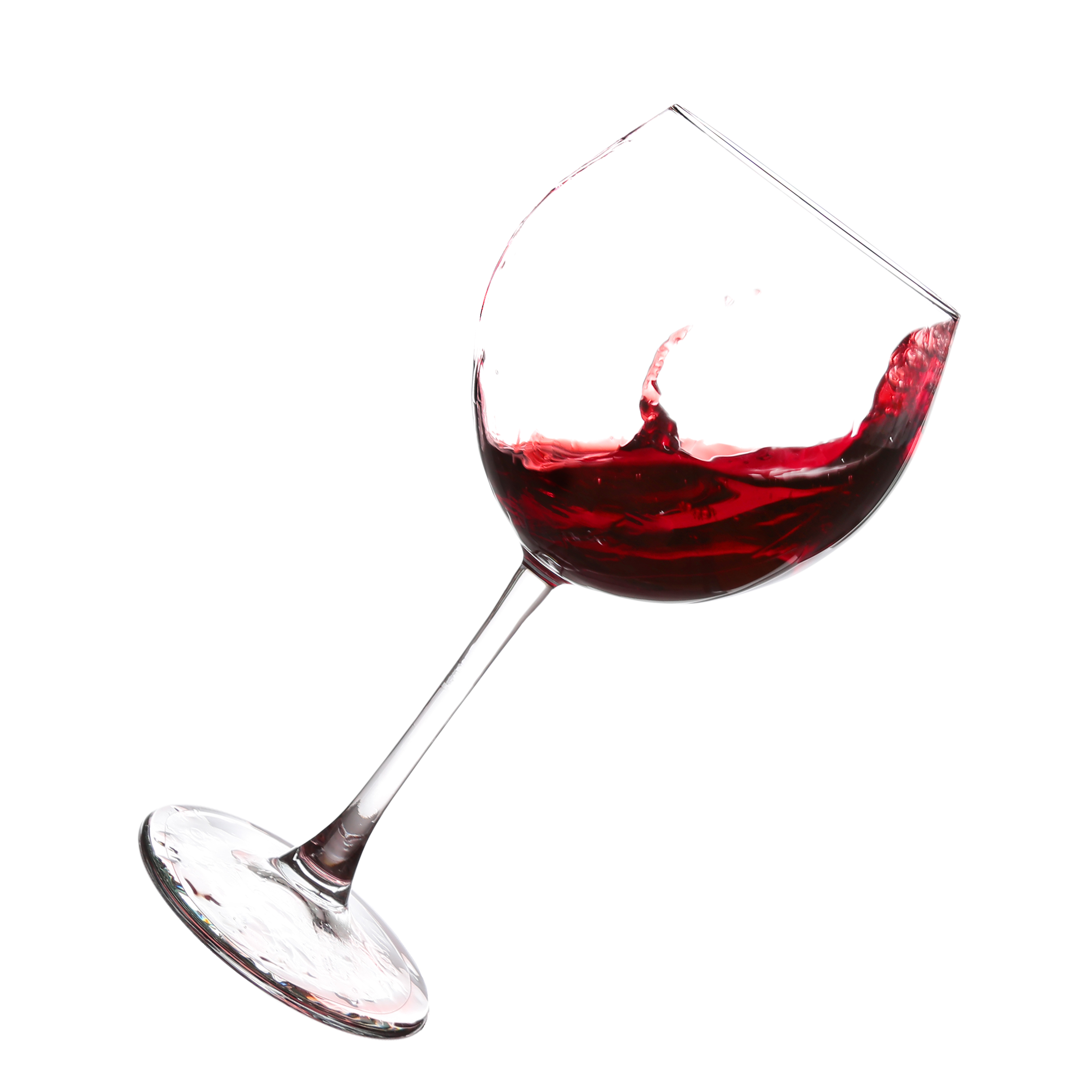 Wine Not Ancona - Umani Ronchi