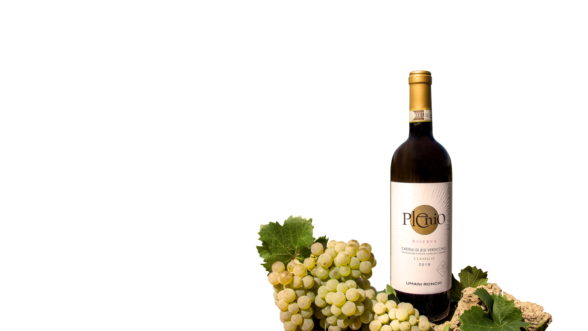 Wines & Territories - Umani Ronchi