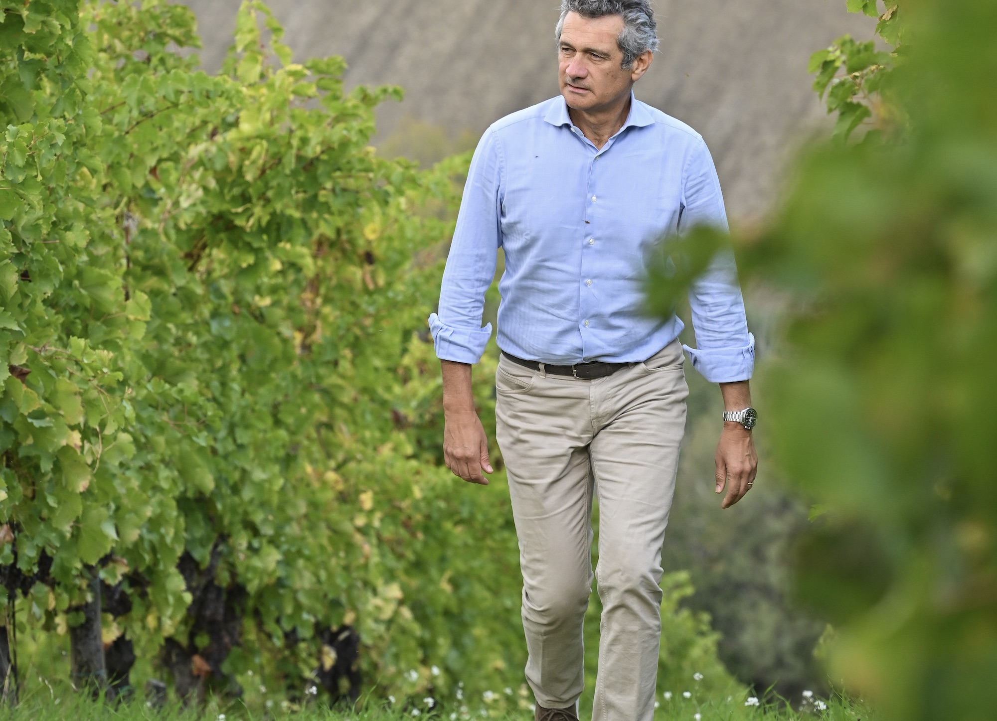 Umani Ronchi e il reciproco scambio con il territorio by Civiltà del ...