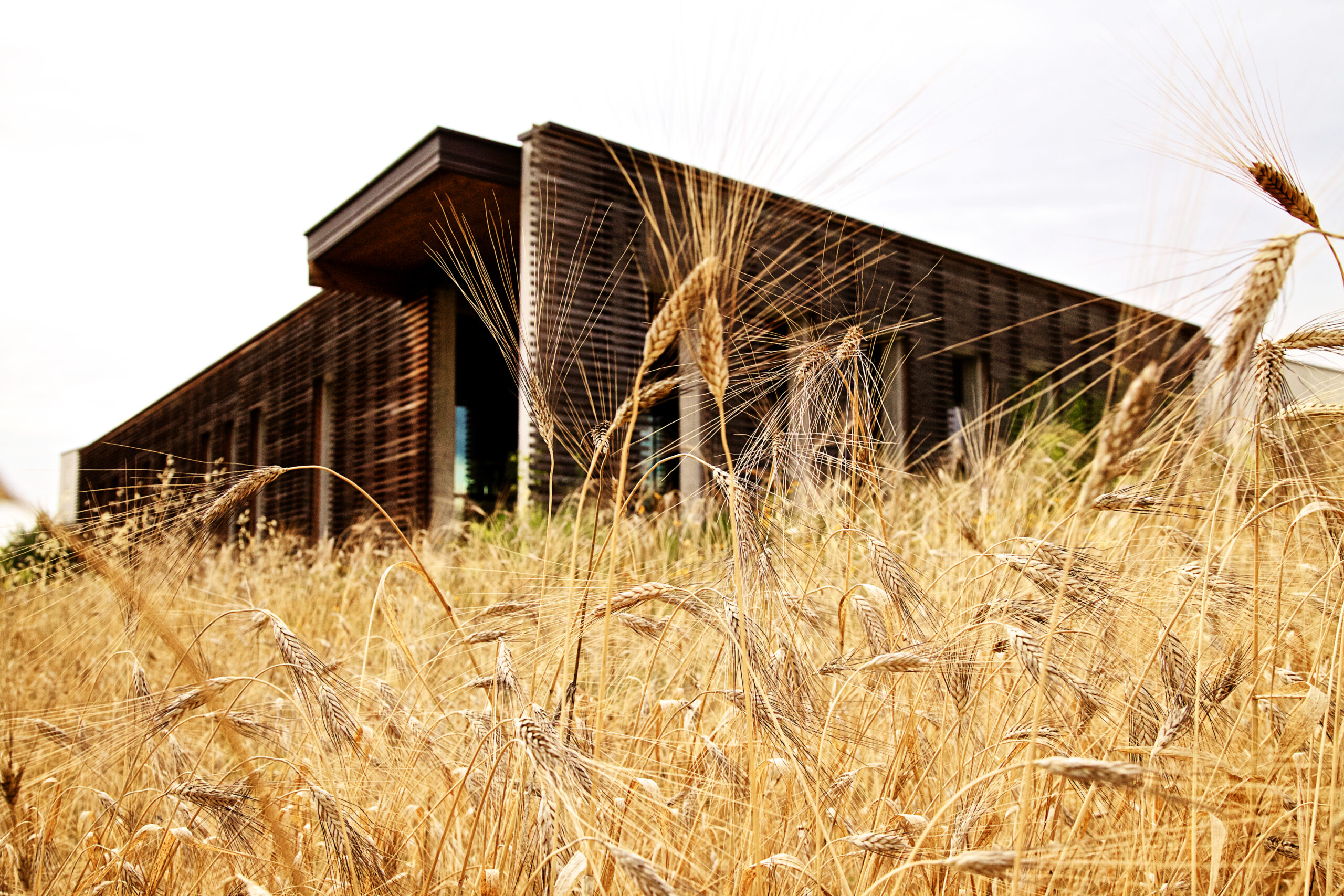 Umani Ronchi and Pastificio Mancini: educational dinner on 3 December ...